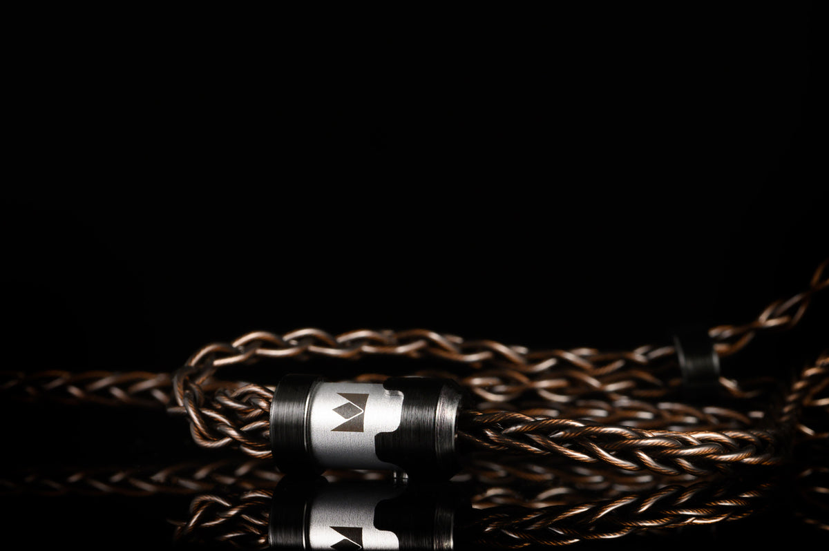 Standard Cable with Interchangeable Termination (4.4mm, 3.5mm, 2.5mm ...